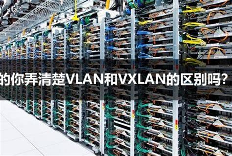 干网络工程的你弄清楚vlan和vxlan的区别吗？