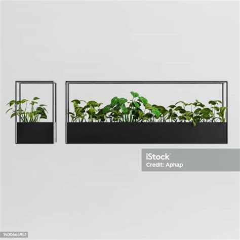 흰색 배경에 고립 된 벽에 관엽 식물의 3d 그림 0명에 대한 스톡 사진 및 기타 이미지 0명 3차원 형태 개체 그룹