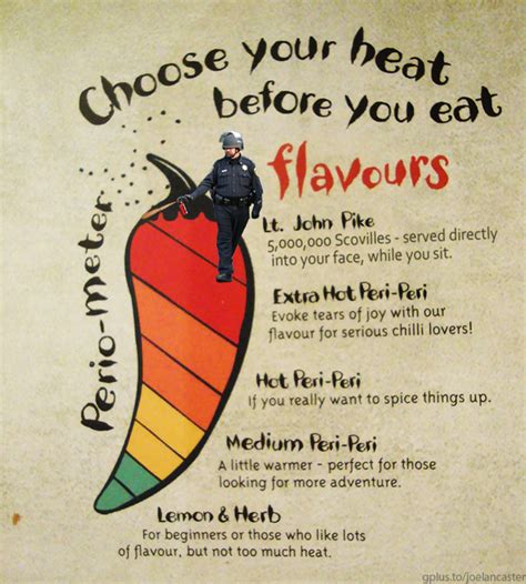 Visual Cues Japansociology