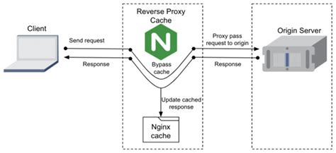 Nginx