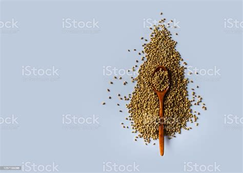 대마 또는 대마초 씨앗 은 파란색 배경 플랫 평지에 숟가락에 힙 0명에 대한 스톡 사진 및 기타 이미지 0명 건강관리와