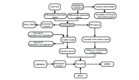 Flowchart Of This Study The Following Datasets Were Used For