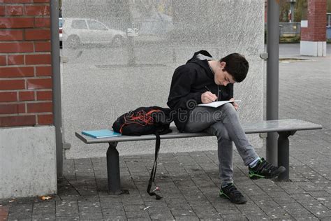 Devoirs Oubliés Décole Image Stock Image Du Banc Nature 108654155