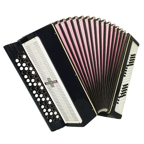 Button Accordion Musical Instrument 3 Rows 100 Bass Buttons Reverb