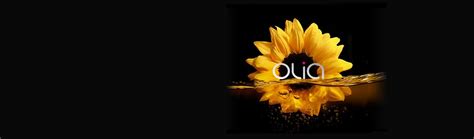 How To Use Olia Highlights At Home Preperation Garnier