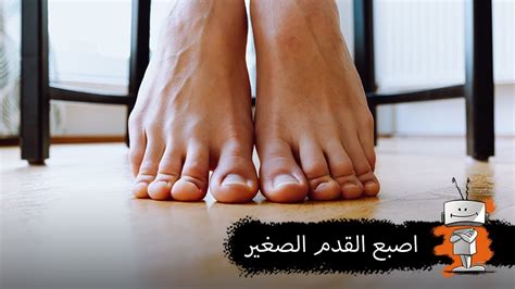 اصبع القدم الصغير Youtube