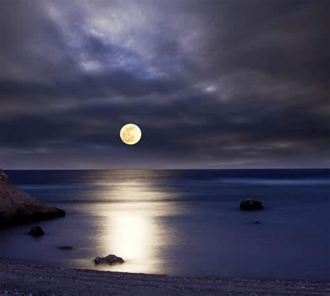 Premium Photo Moonlight