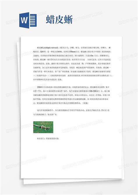 蜡皮蜥 Word模板下载 编号lozeagee 熊猫办公