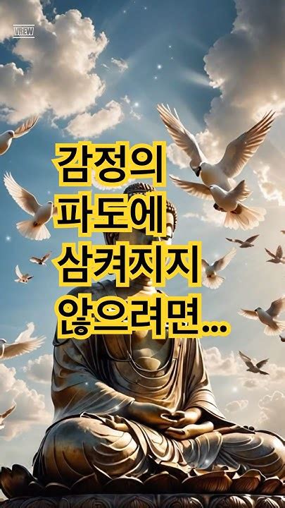 부처님의 마음다스림법 부처님말씀 긍정적마인드 긍정의말 좋은글 Youtube