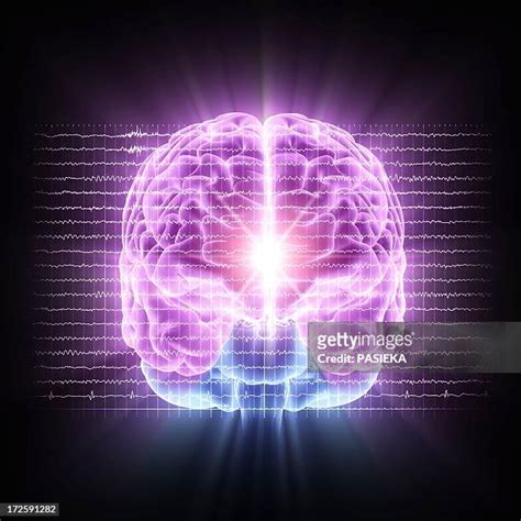 Brain Signal Photos And Premium High Res Pictures Getty Images