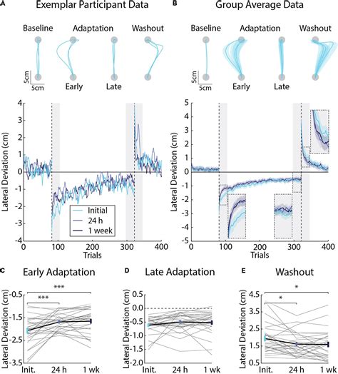 Frontiers Individual Differences In Sensorimotor Adaptation Are