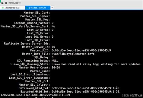 基于gtid的主从复制 Csdn博客