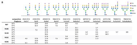 Glycosylation Pattern Of Cd19 Ad2 Expressed In Cho K1 Cells Cultivated