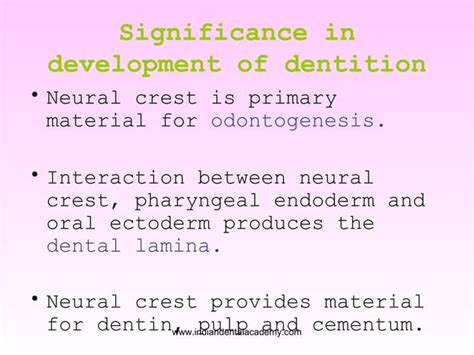 Neural Crest Cell Ppt Dental Health Diseases And Conditions