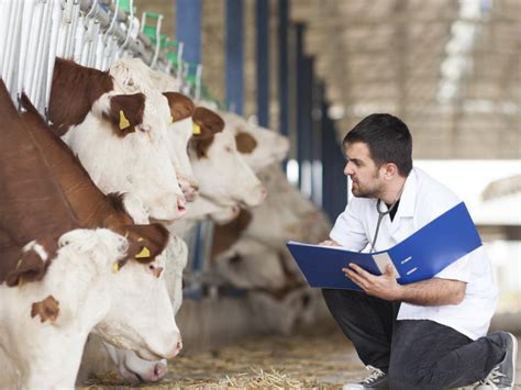 Veterinary Drugs in Food