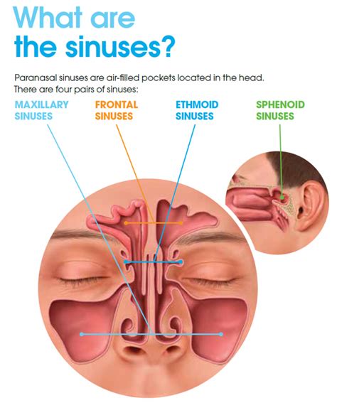Ear Clogged Sinus Symptoms