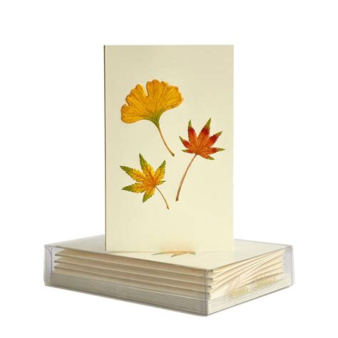 Leaf Medley Boxed Mini Note Paula Skene Designs