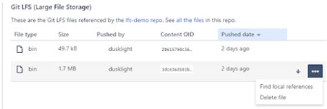 Dusklight Blog Git LFS Basics