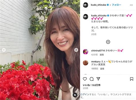 工藤静香、広々自宅庭とウッドデッキで愛犬たちと 豪邸っぷりが分かる自慢のガーデニングも公開（23 ページ） ねとらぼ