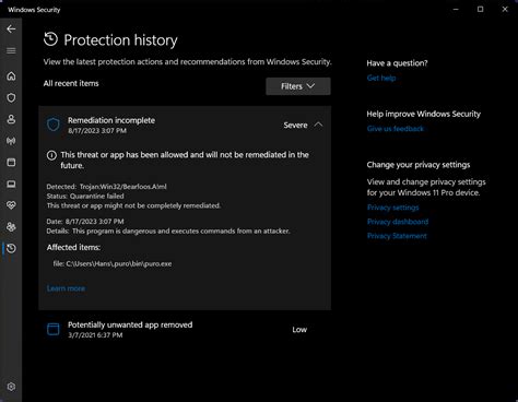 Windows Defender Flags Puro Exe As A Trojan Issue 32 Pingbird Puro
