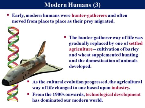 Bio3 2 Human Evolution Fossil Evidence 1 Teaching Resources
