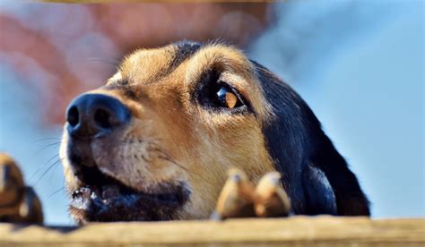 Code Compliance Liens And Hearings The Lopez Law Group