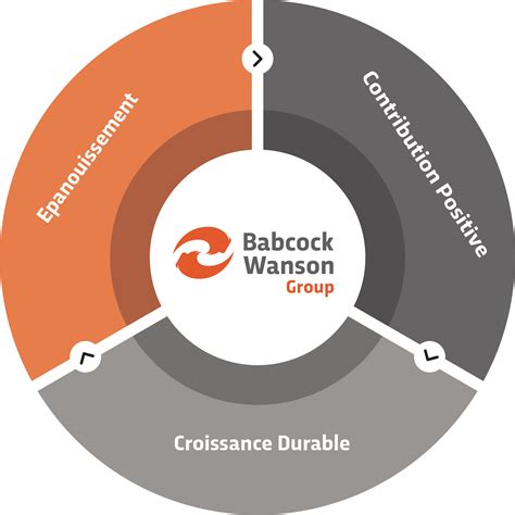 Rse Babcock Wanson Group