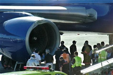 美国客机再遭飞鸟袭击 145名乘客空中惊魂 组图 新浪旅游 新浪网