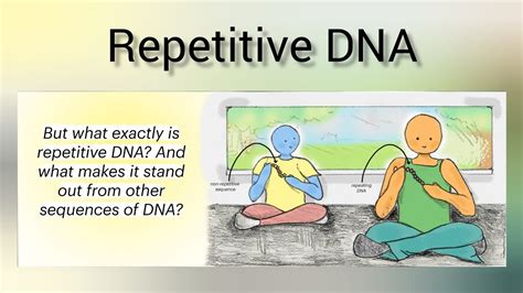 Dna Repeats Tandem Repeats Srts Vntr Direct Repeats Mirror Repeats Palindrome