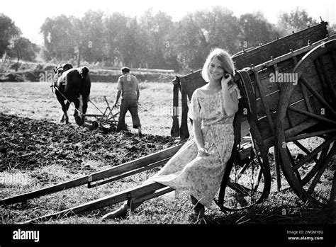 Pretty Blond Hair Young Woman On Charette With Country Man Background