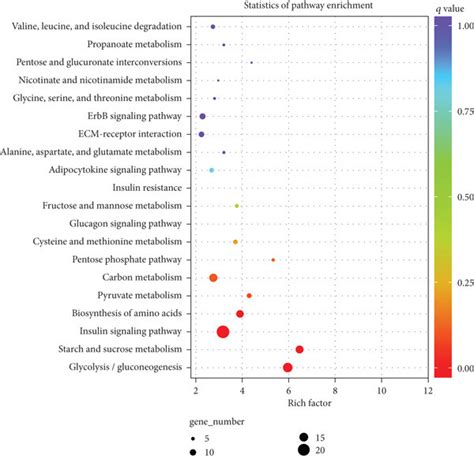 Top 20 Significantly Enriched Kegg Pathways Download Scientific Diagram
