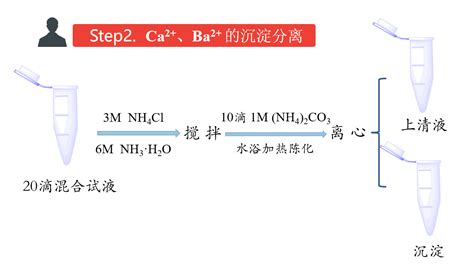 碱金属和碱土金属性质检验