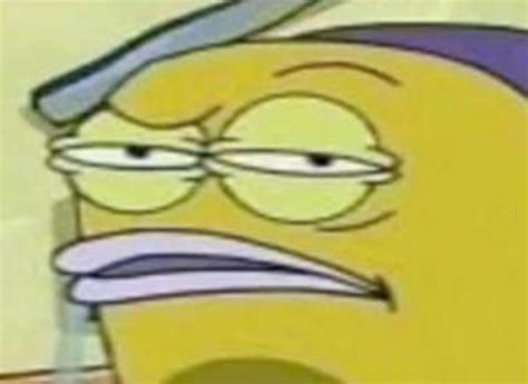 Nat Spongebob Squarepants Funny Spongebob Memes Spongebob Funny