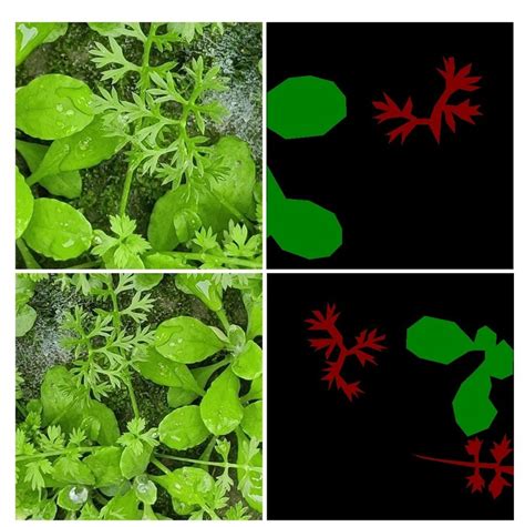 GradCAM Heatmaps for Segmentation with UNet in PyTorch - Idiot Developer