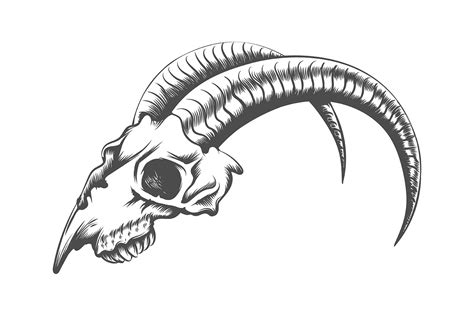 Goat Head Skull Tattoo