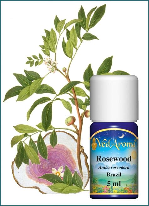 Rosewood Essential Oil 5 Ml Vedaroma Eu