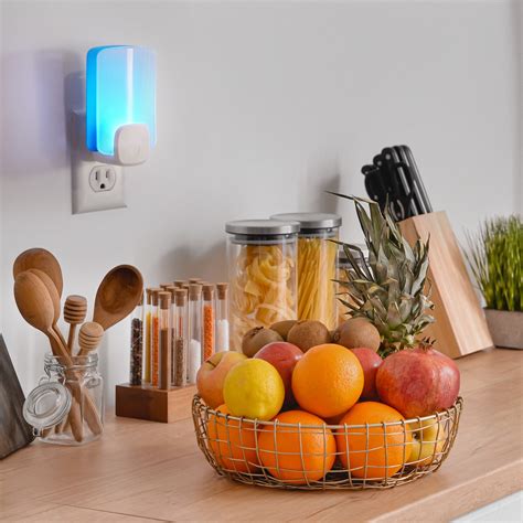 Raid Essentials Flying Insect Light Trap Starter Kit 1 Fly Trap Device And 1 Refill