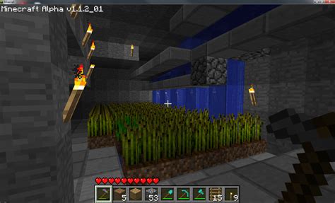 Irrigation System R Minecraft