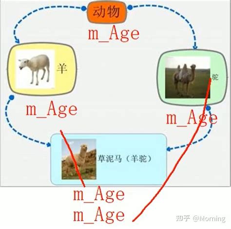 c 核心编程 知乎