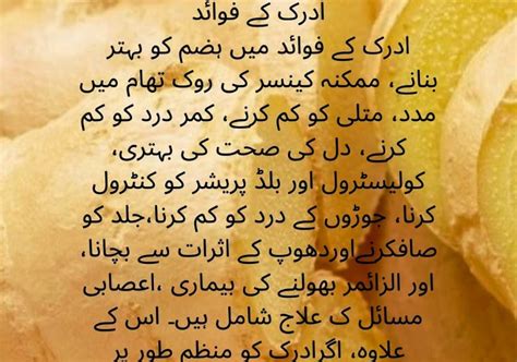 Adrak Ke Fayde Benefits In Urdu