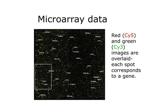 Ppt Analysis Of Microarray Data Powerpoint Presentation Free Download Id764962