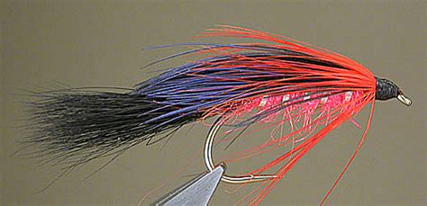 Scotch Poacher New Zealand Streamer Pattern With Overlayed Wing