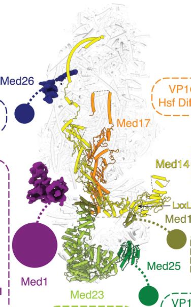 Creative Biostructure Blog Structural Biology Services Supplier