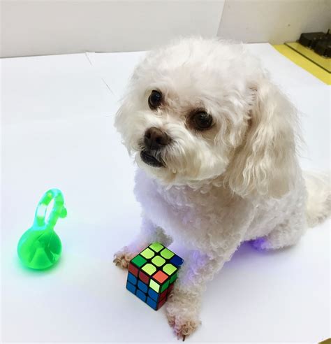 Solve Rubiks Cube With The Easy Beginner Method