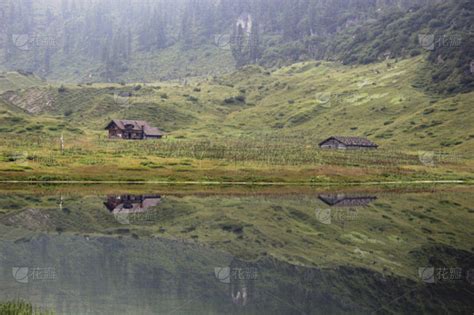 贝希特斯加登地区美柳树停泊的旷野摩尔人风格草原水平画幅无人平视角