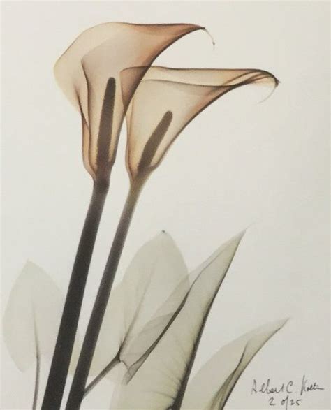 Albert Koetsier — Signed Art Prints Signed Art Prints Sign Art Art Prints