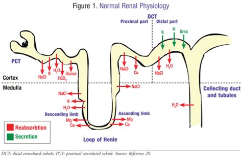 Fanconi Syndrome