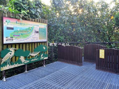 敬老卡坐捷運紅樹林生態教育館遊河畔水筆仔生態步道與彈塗魚招潮蟹共賞夕陽餘暉 銀髮一起玩