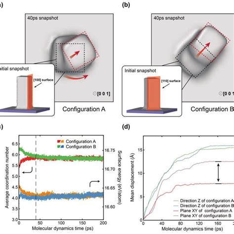 Pdf Revealing Morphology Evolution Of Lithium Dendrites By Large