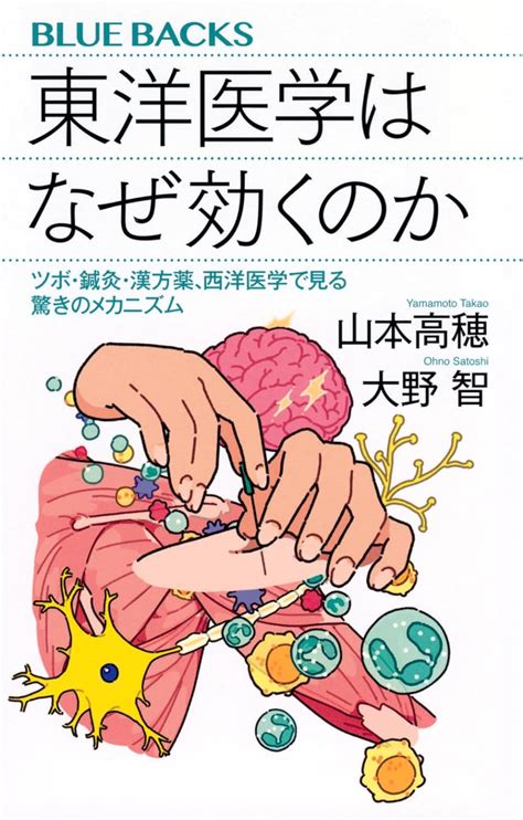 東洋医学はなぜ効くのか ツボ・鍼灸・漢方薬、西洋医学で見る驚きのメカニズム ブルーバックス B 2261 山本 高穂 大野 智 本